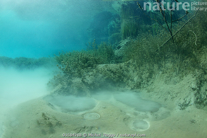 Stock photo of Underwater springs of the Sava Dolinka River, karst ...