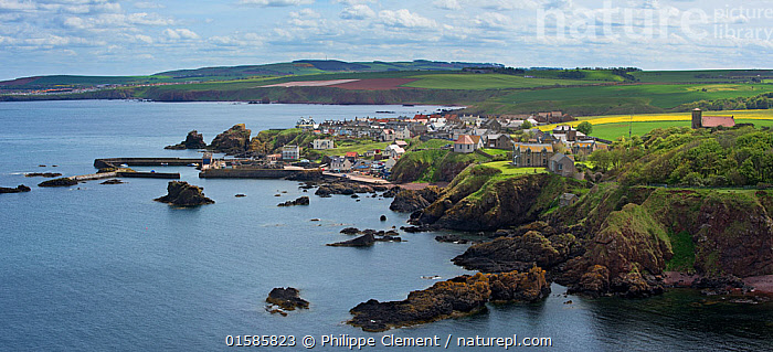 Stock photo of The fishing village of St Abbs seen from the southern ...
