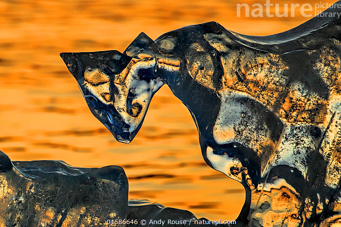 Stock photo of Cat-shaped iceberg at sunset, Svalbard, Norway, October ...