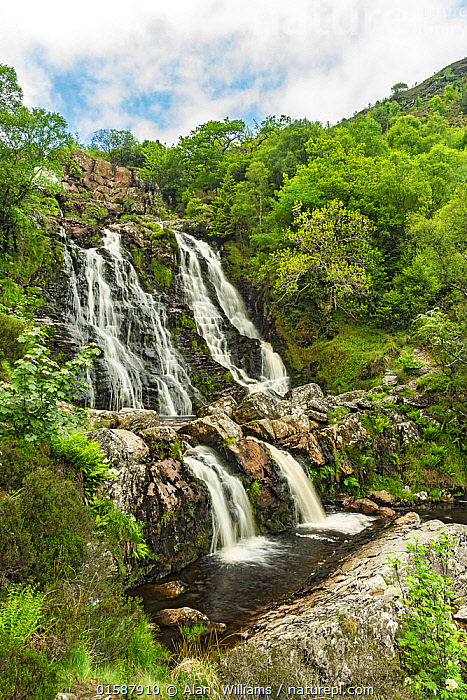 Stock photo of Waterfall Pistyll Rhyd-y-meinciau, River Eiddew, near ...