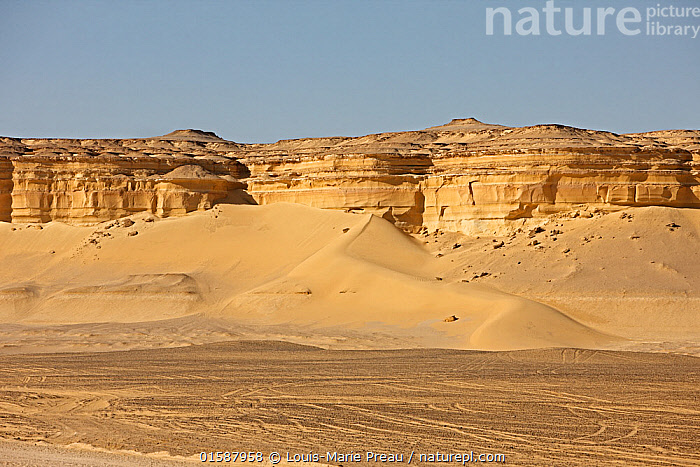 Stock photo of Wadi El Hitan (Whale Valley) Wadi Hitan National Park ...