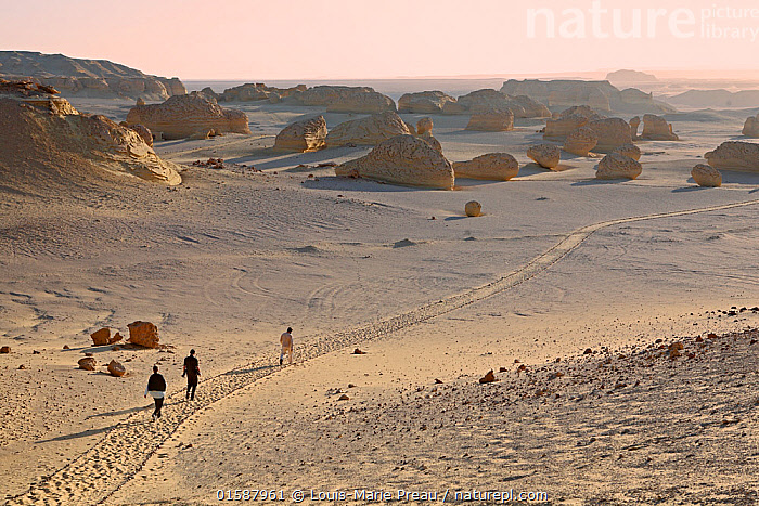 Stock photo of Tourists at Wadi El Hitan (Whale Valley) Wadi Hitan ...