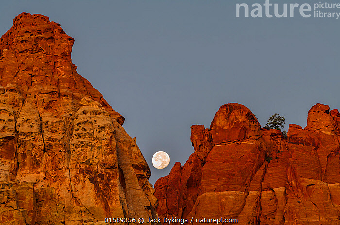 Stock photo of Circle Cliffs, with full moon setting at dawn, Grand ...