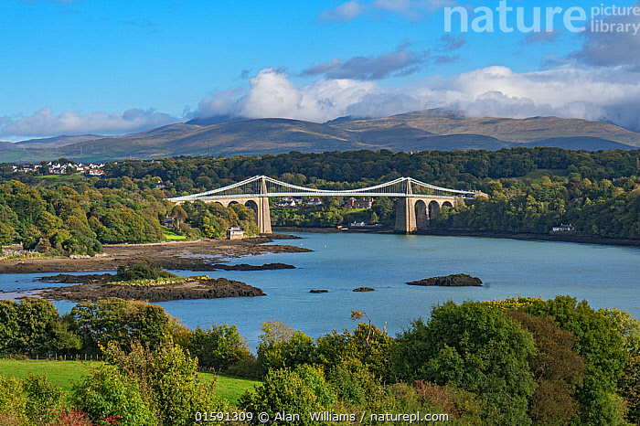 Stock photo of Menai Suspension Bridge designed by Thomas Telford ...