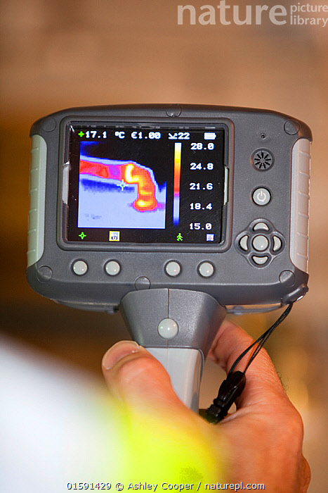 Stock photo of Thermal imaging camera showing heat loss from a hot ...