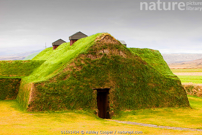 Stock photo of Reconstructed Viking long house near Selfoss in Iceland ...