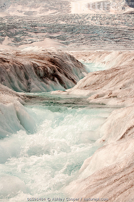 Stock photo of Meltwater channels on the Athabasca glacier which has ...