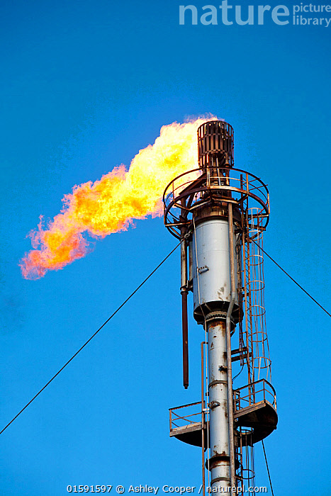 Stock photo of Flaring off gas at the Flotta oil terminal on the Island ...