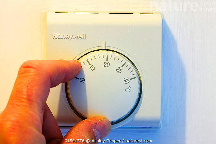 Stock photo of Setting the central heating thermostat at a cooler ...