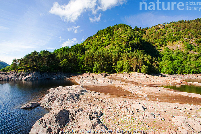 Stock photo of Thirlmere reservoir during severe drought, Lake District ...