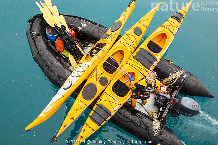 Stock photo of Zodiacs and sea kayaks being lifted off the deck of an ...