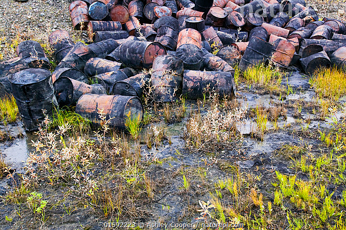 Stock photo of Abandoned barrels of leaking waste oil on the tundra ...