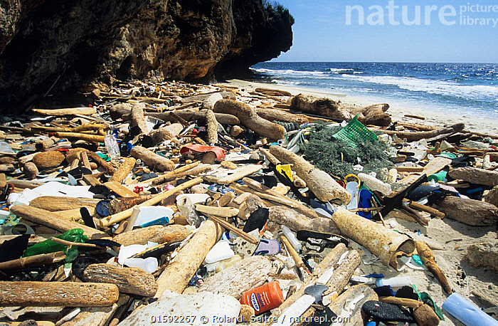 Stock photo of Greta Beach, with plastic pollution washed up from ...
