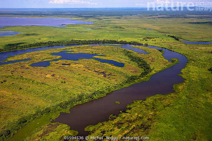 Stock photo of Aerial view of the Pantanal, end of the dry season. Near ...