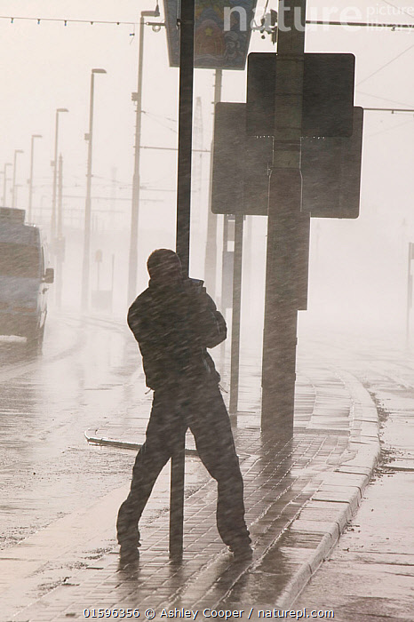 Stock photo of Man holding onto post during severe storm with hurricane ...