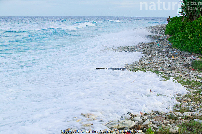 Stock photo of Funafuti Atoll flooded by sea water, Tuvalu. These low ...