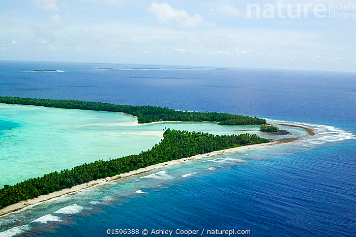 Stock photo of Aerial view of Funafuti atoll, Tuvalu, Pacific Ocean ...