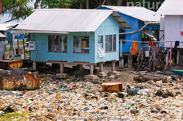 Stock photo of Plastic rubbish discarded in a lagoon on Funafuti Tuvalu ...