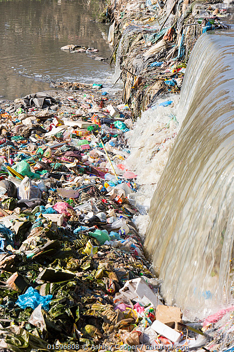 Stock photo of The Bishnumati river running through Kathmandu in Nepal ...