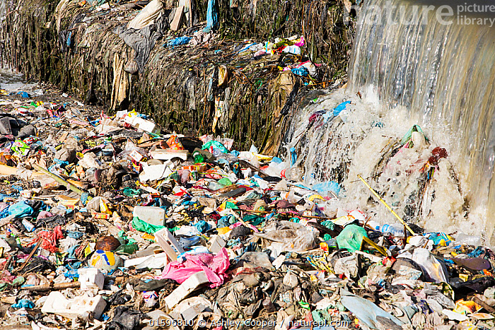 Stock photo of The Bishnumati river running through Kathmandu in Nepal ...