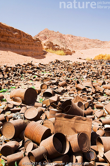 Stock photo of Tin cans discarded in the mountains of the Sinai desert ...