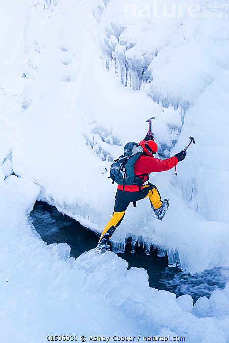 Stock photo of Mountaineer, Mike Withers ice climbing in Fisher Place ...