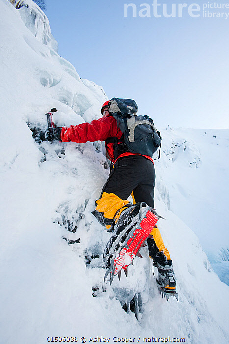 Stock photo of Mountaineer, Mike Withers ice climbing in Fisher Place ...