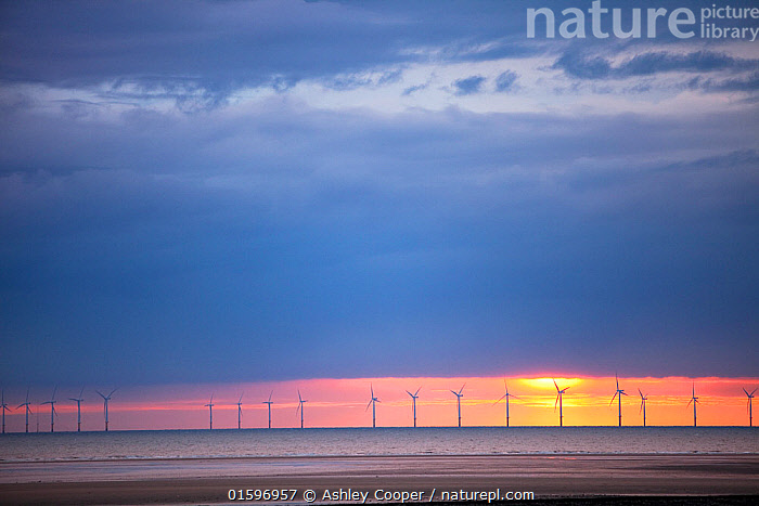 Stock photo of The Rhyl Flats offshore wind farm, off the North Wales ...