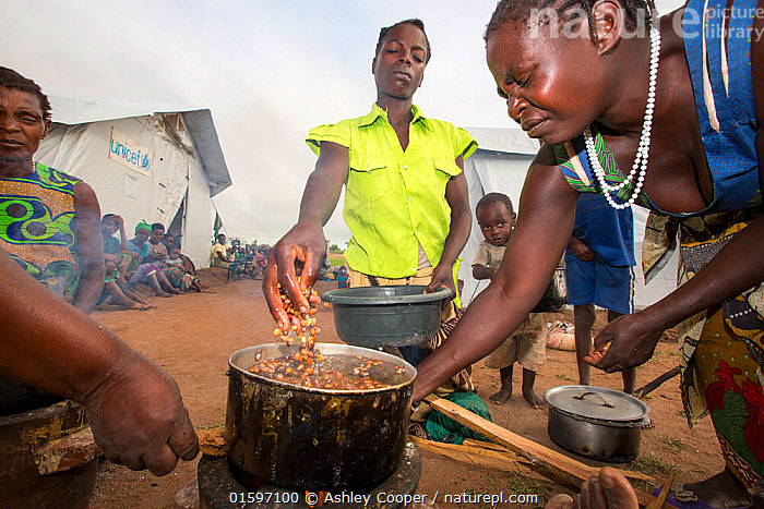 Stock photo of People displaced by flooding at Chiteskesa refugee camp ...