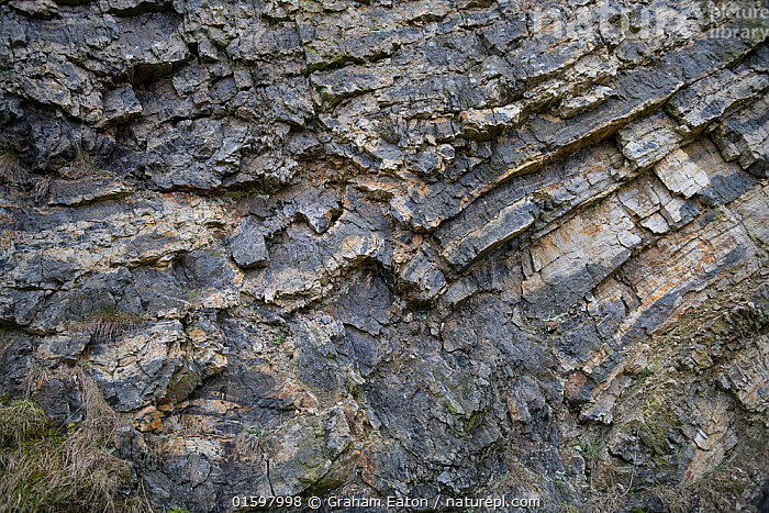 Stock photo of Outcrop of banded Chert, part of the Carboniferous ...