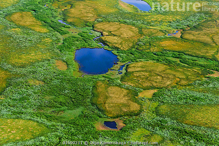 Stock photo of Aerial view of Pechora River Delta, Nenets Autonomous ...