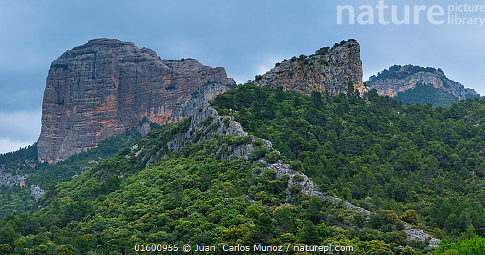 Stock photo of En Benet Rocks / Roques de Benet, The Ports Natural Park ...