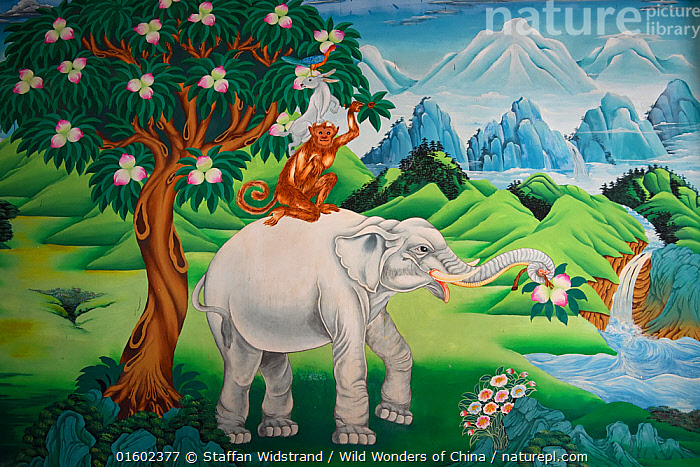 Stock photo of Elephant, monkey, rabbit and pigeon painting, The ...