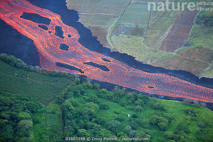 Stock photo of Aerial view of lava river flowing toward Kapoho, Puna ...