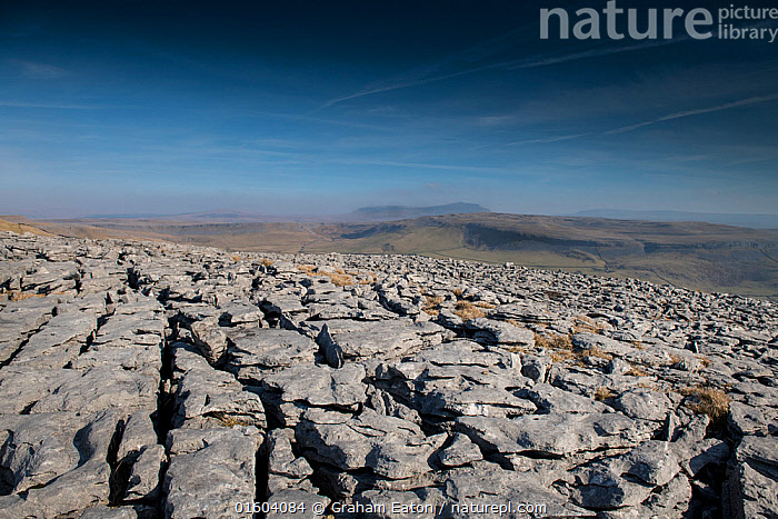 Stock photo of A Limestone Pavement with well developed Clints (blocks ...