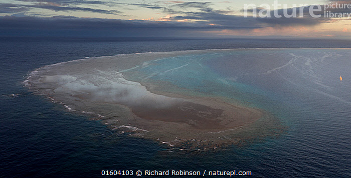 Stock photo of Aerial view of North Minerva Reef also known as Teleki ...