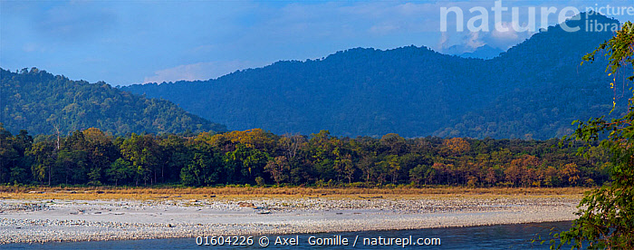 Assam Wallpapers Manas Photo Manas National Park, Assam, India.