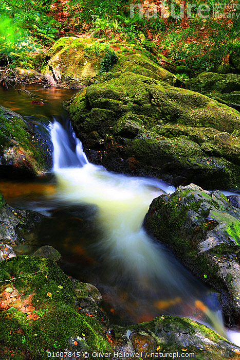 Stock photo of Long exposure of a Dartmoor stream, Devon, England, UK ...