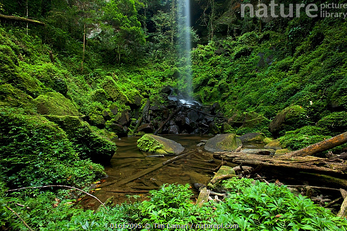 Stock photo of Waterfall in Sumatran rainforest, Batang Toru Forest ...