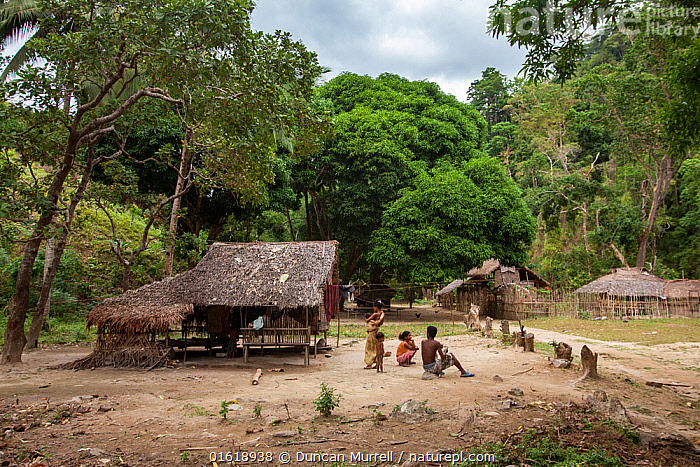Stock photo of The Batak indigenous village in the forest, Sitio ...