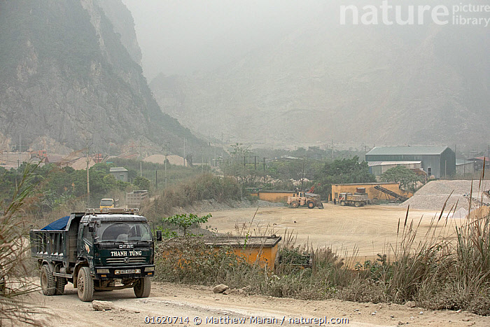 Stock photo of Delacour's langurs (Trachypithecus delacouri) habitat ...