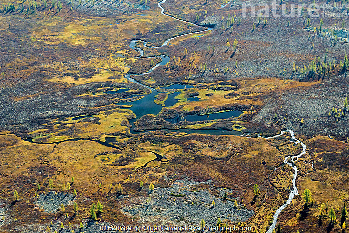 Stock photo of Aerial view of headwaters of the Lena River. Siberia ...
