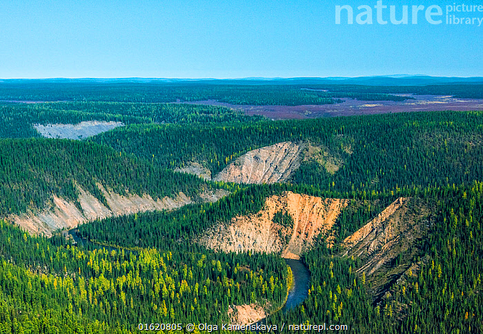 Stock photo of Aerial view of headwaters of the Lena River. Siberia ...