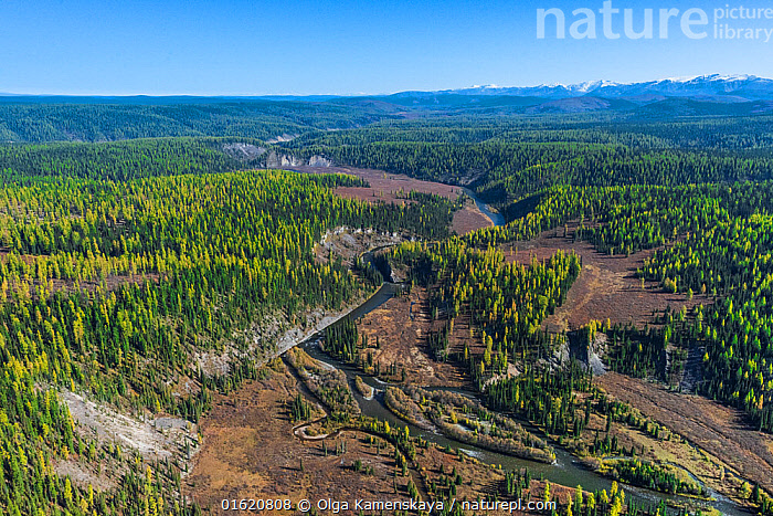 Stock photo of Aerial view of headwaters of the Lena River, Siberia ...