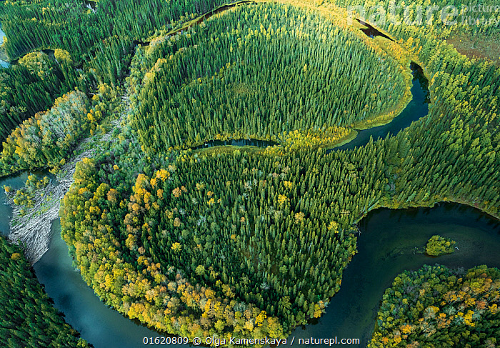Stock photo of Aerial view of headwaters of the Lena River, Siberia ...