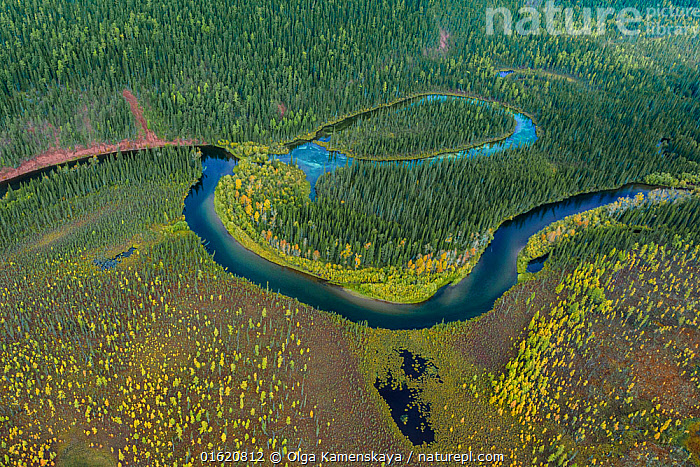 Stock photo of Aerial view of headwaters of the Lena River, Siberia ...