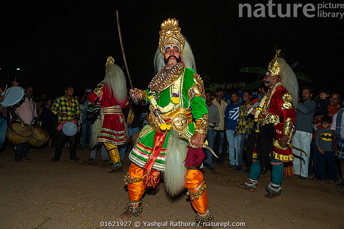 Stock photo of Local man performing in the Veeragase dance, where pairs ...