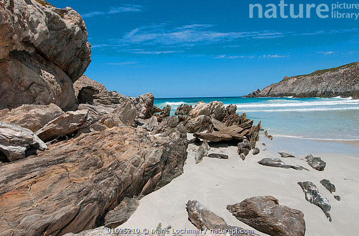 Stock photo of Whalebone Beach, coastline along Hakea Walk Trail ...