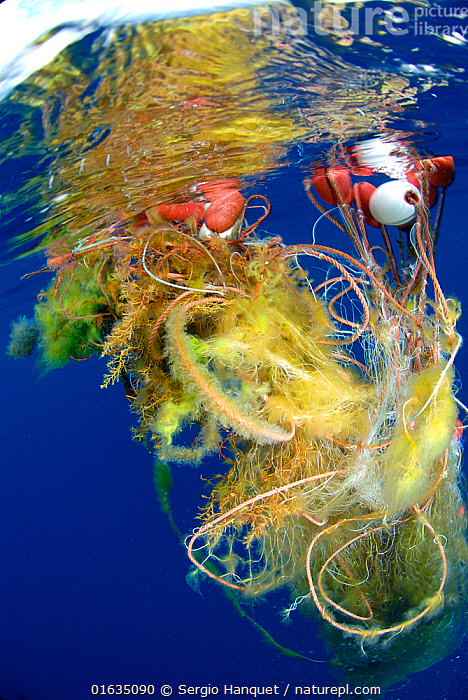 Stock photo of Tangled fishing net floating as litter in sea ...