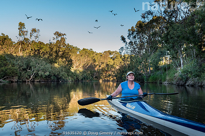 Stock photo of CEO of the Australian Conservation Foundation (ACF) Kelly O'Shanassy ...